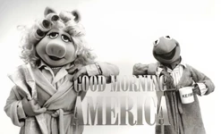 Kermit's tea cup | Muppet Wiki | Fandom