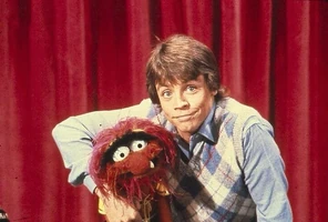 Episode 417: Star Wars | Muppet Wiki | Fandom