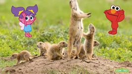 Animal Dance | Muppet Wiki | Fandom