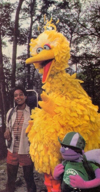 Big Bird goes to Camp Echo Rock | Muppet Wiki | Fandom