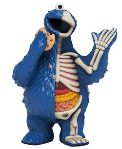 XXRay | Muppet Wiki | Fandom XXRay | Muppet Wiki | Fandom