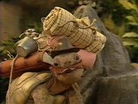 Turtles | Muppet Wiki | Fandom