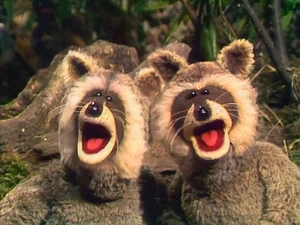 Raccoons | Muppet Wiki | Fandom