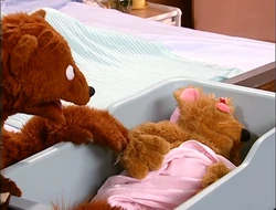 Curly Bear's birth | Muppet Wiki | Fandom