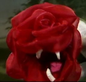 Wild Irish Rose | Muppet Wiki | Fandom