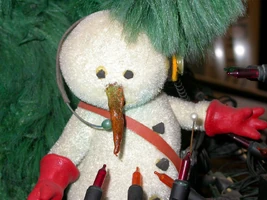 Spruce Springsteen | Muppet Wiki | Fandom