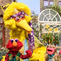 Episode 5214 | Muppet Wiki | Fandom
