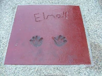 Sesame Place handprints | Muppet Wiki | Fandom