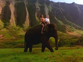 Elephants | Muppet Wiki | Fandom