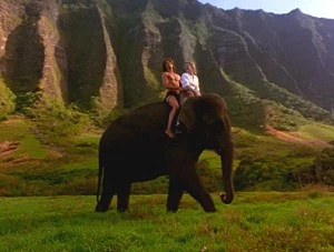 George Of The Jungle Elephant