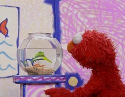 Elmo's World: Fish | Muppet Wiki | Fandom