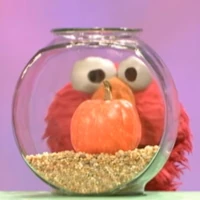 Pumpkins | Muppet Wiki | Fandom