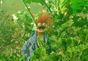 Yoda | Muppet Wiki | Fandom