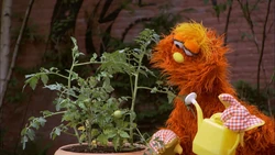 Episode 4198 | Muppet Wiki | Fandom