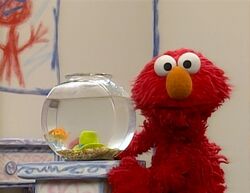 Elmo's World: Hats | Muppet Wiki | Fandom