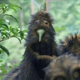 The Musical Monsters of Turkey Hollow | Muppet Wiki | Fandom