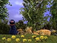 Grover: Dog Walker | Muppet Wiki | Fandom