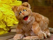 Simba | Muppet Wiki | Fandom