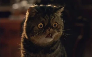 Calico (disambiguation) | Muppet Wiki | Fandom