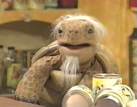 Turtles | Muppet Wiki | Fandom