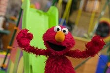 Episode 5431 | Muppet Wiki | Fandom