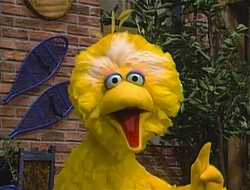 Episode 3213 | Muppet Wiki | Fandom