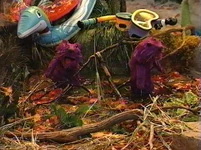 Episode 218: All Weather Bear | Muppet Wiki | Fandom