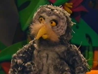 Owls | Muppet Wiki | Fandom