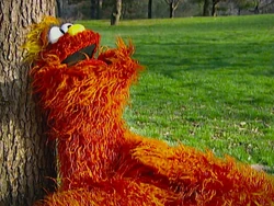 Episode 4138 | Muppet Wiki | Fandom