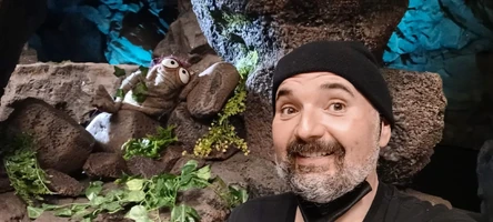 Episode 211: Lost and Found Fraggles | Muppet Wiki | Fandom