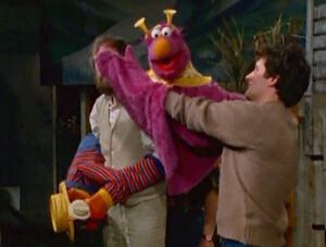 Brian Muehl | Muppet Wiki | Fandom