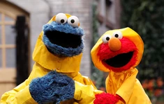 Episode 4229 | Muppet Wiki | Fandom