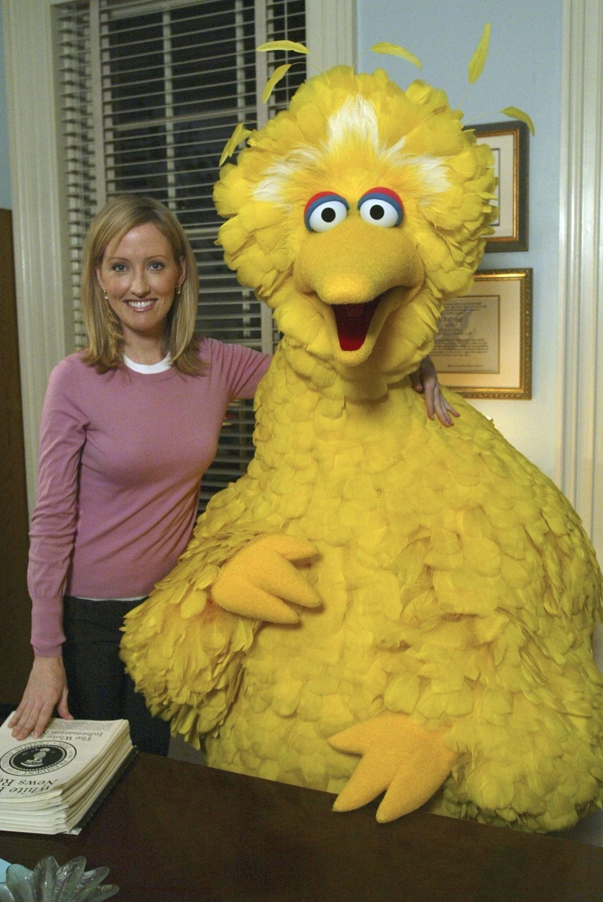 Janel Moloney | Muppet Wiki | Fandom