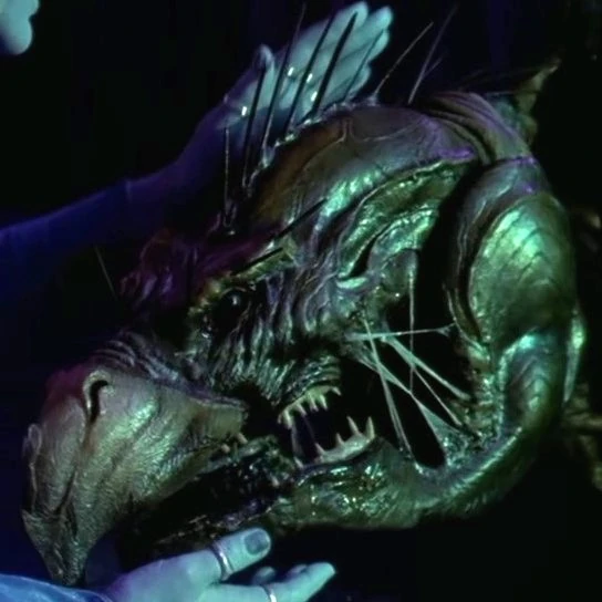 Tak | Muppet Wiki | Fandom