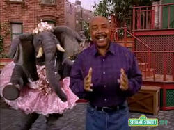 Episode 4098 | Muppet Wiki | Fandom