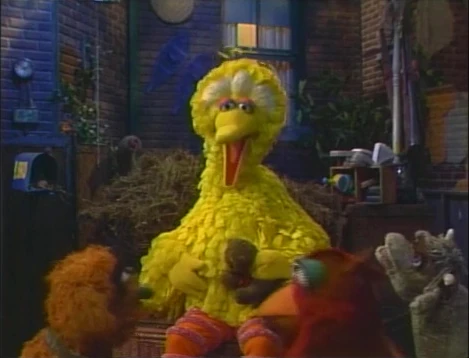 Let's Fall Asleep | Muppet Wiki | Fandom