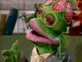 Fern | Muppet Wiki | Fandom