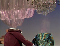 Head-impaired characters | Muppet Wiki | Fandom