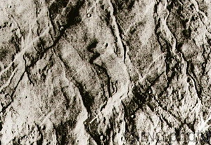 Mars | Muppet Wiki | Fandom