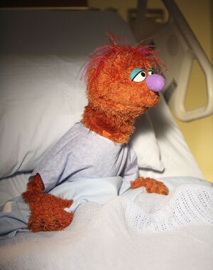 Scrubs | Muppet Wiki | Fandom