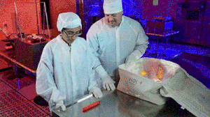 Slimey to the Moon | Muppet Wiki | Fandom