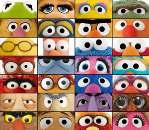 Muppet eyes | Muppet Wiki | Fandom