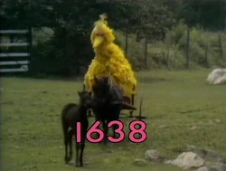 Episode 1638 | Muppet Wiki | Fandom