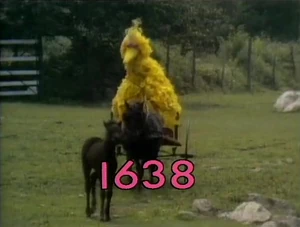 Episode 1638 | Muppet Wiki | Fandom