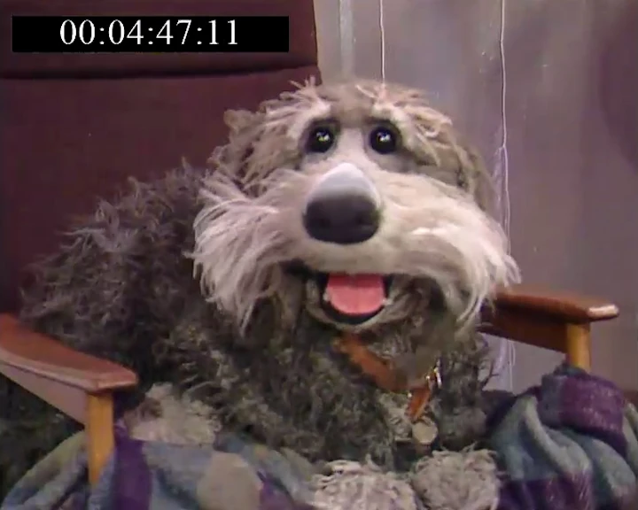 The Saturday Show | Muppet Wiki | Fandom