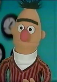 Bert Through the Years | Muppet Wiki | Fandom