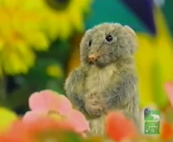 Marsupials | Muppet Wiki | Fandom