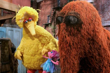 Episode 4109 | Muppet Wiki | Fandom