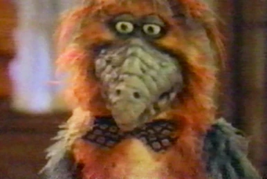 Zebrahead Jason Willinger