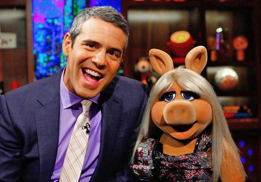 Andy Cohen | Muppet Wiki | Fandom
